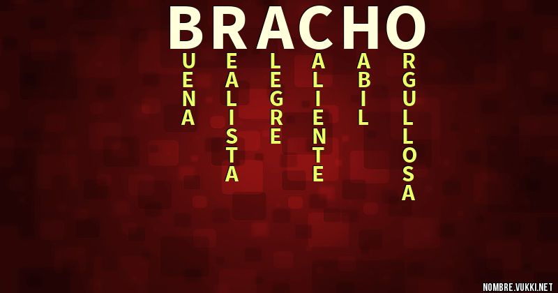 Qué significa bracho