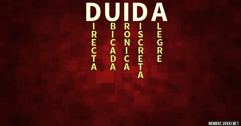 Qué significa duida